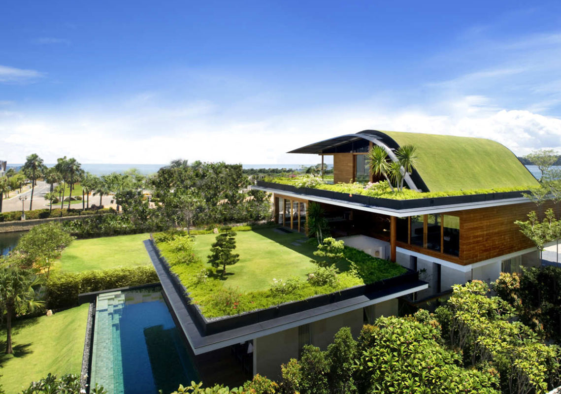 An Introduction to a Vegetative Roof System | Roofing Elements