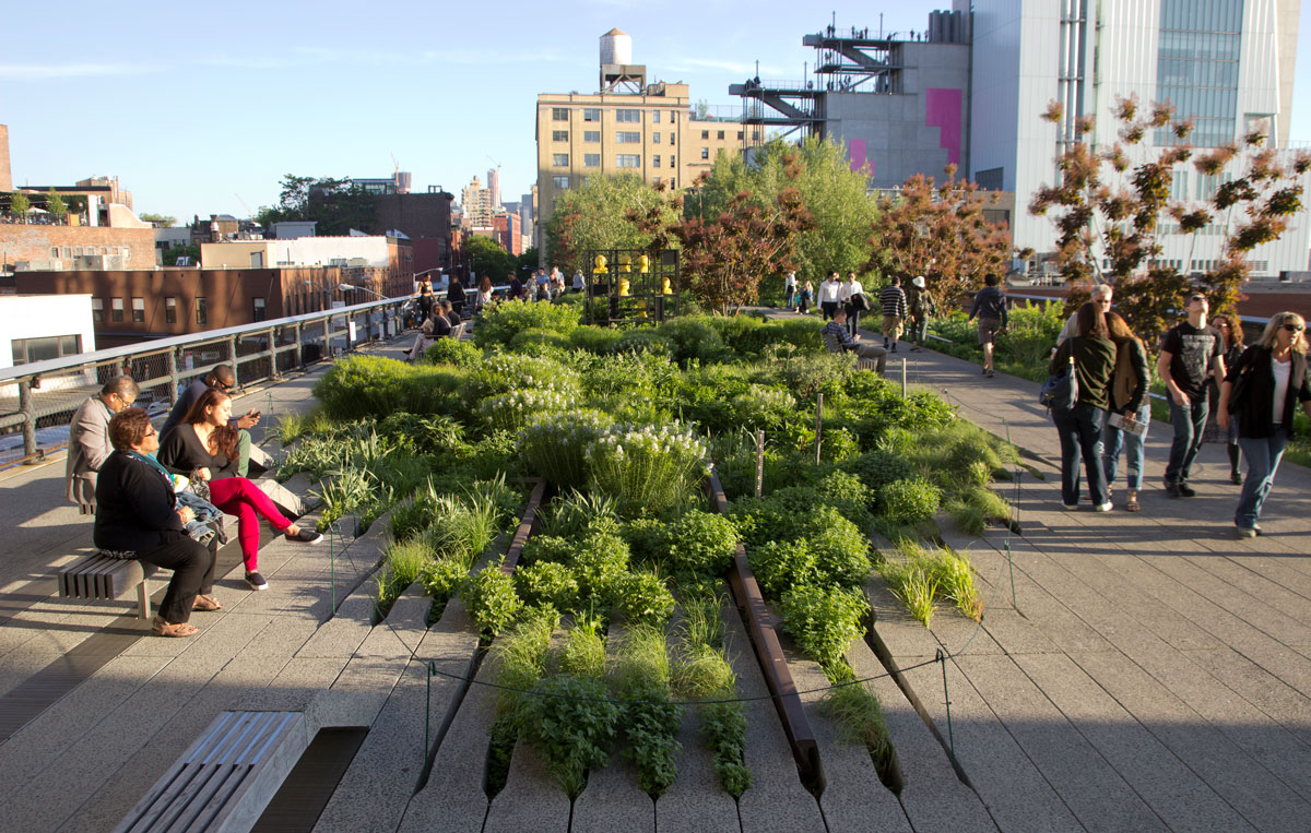 An Introduction to a Vegetative Roof System | Roofing Elements