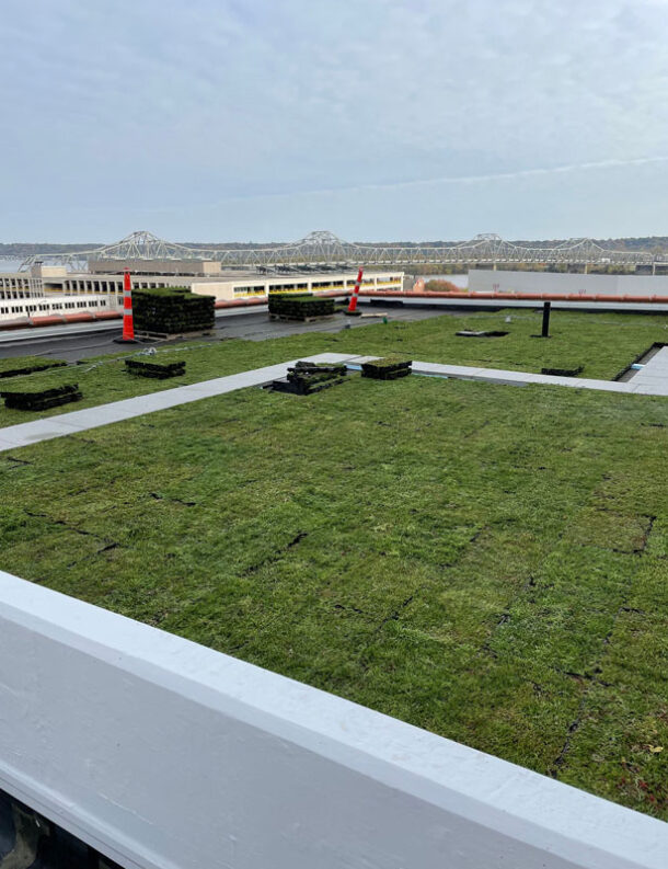 An Introduction to a Vegetative Roof System | Roofing Elements